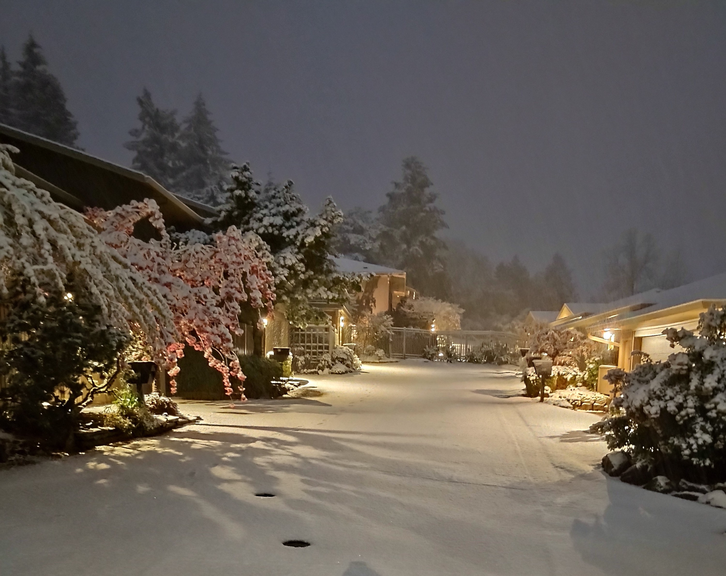 Photo Gallery – Richard J. Severson