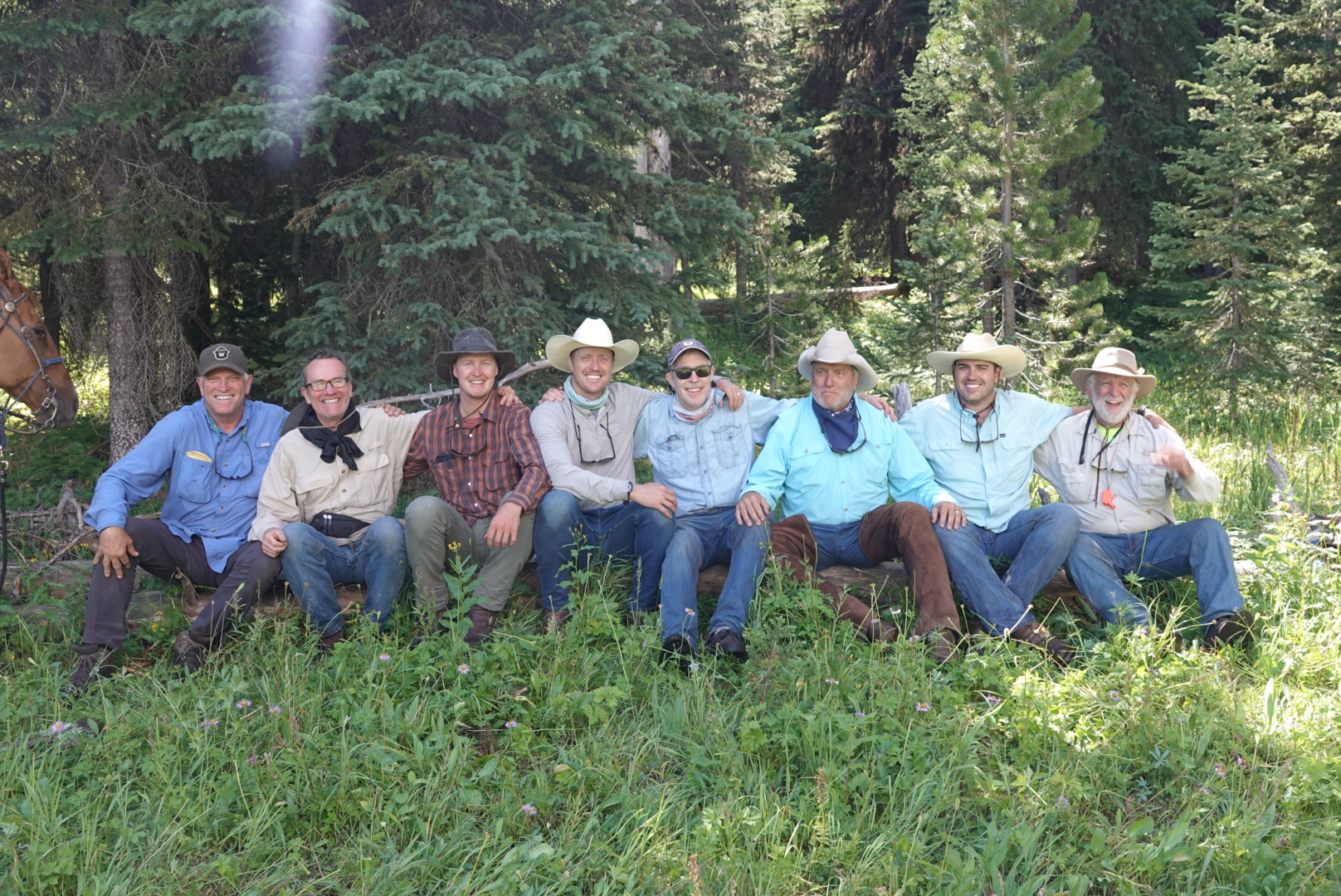 Into the Back Country – Richard J. Severson